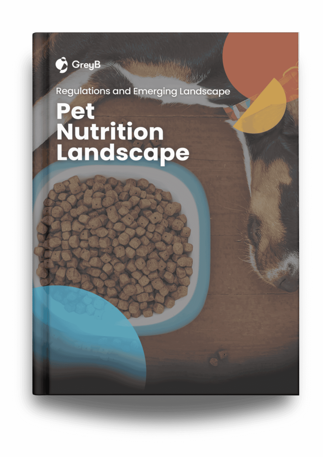 Pet Food Innovations Set to Disrupt the Industry in 2026 - GreyB